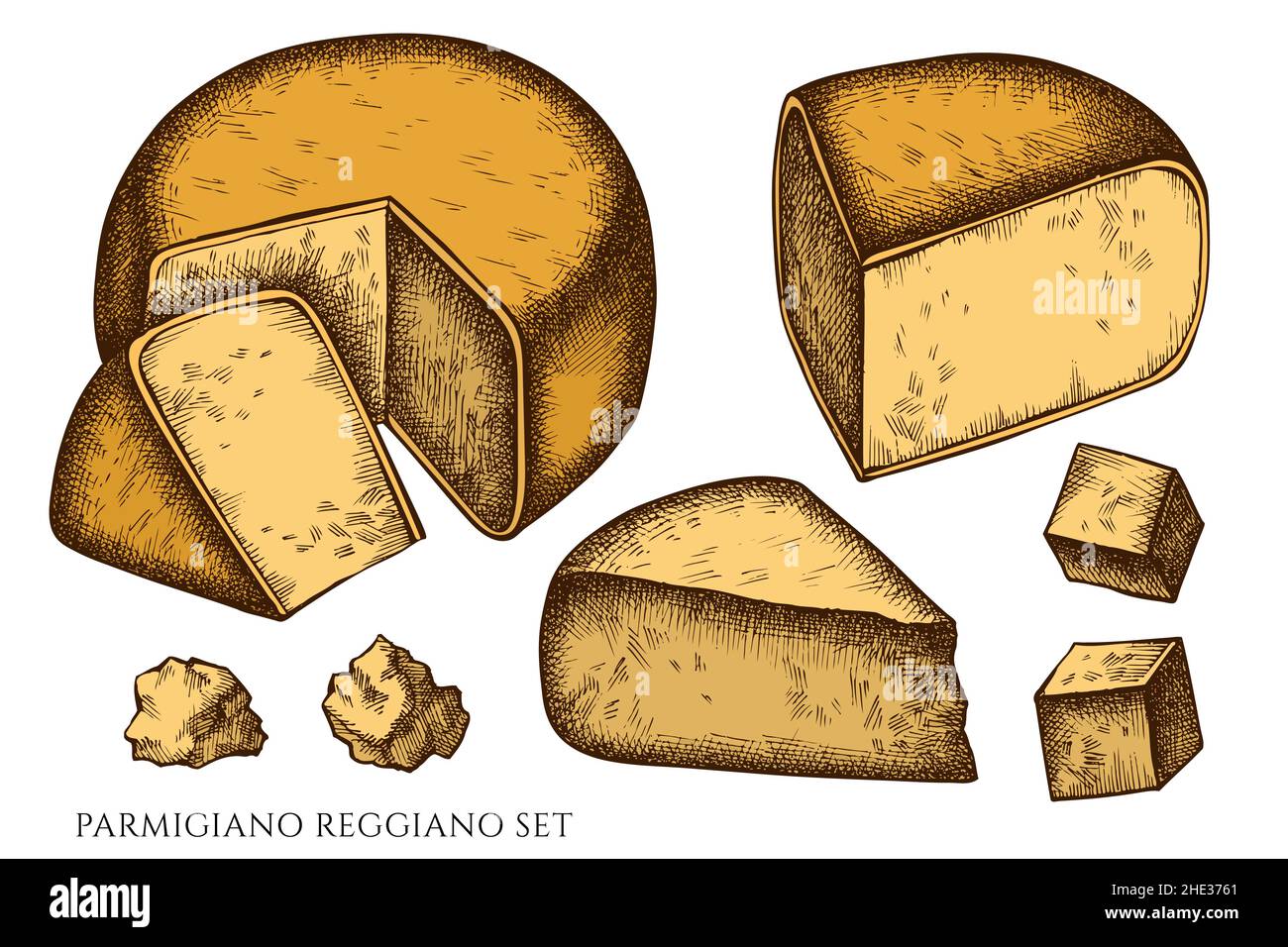 Cheese hand drawn vector illustrations collection. Colored parmigiano ...