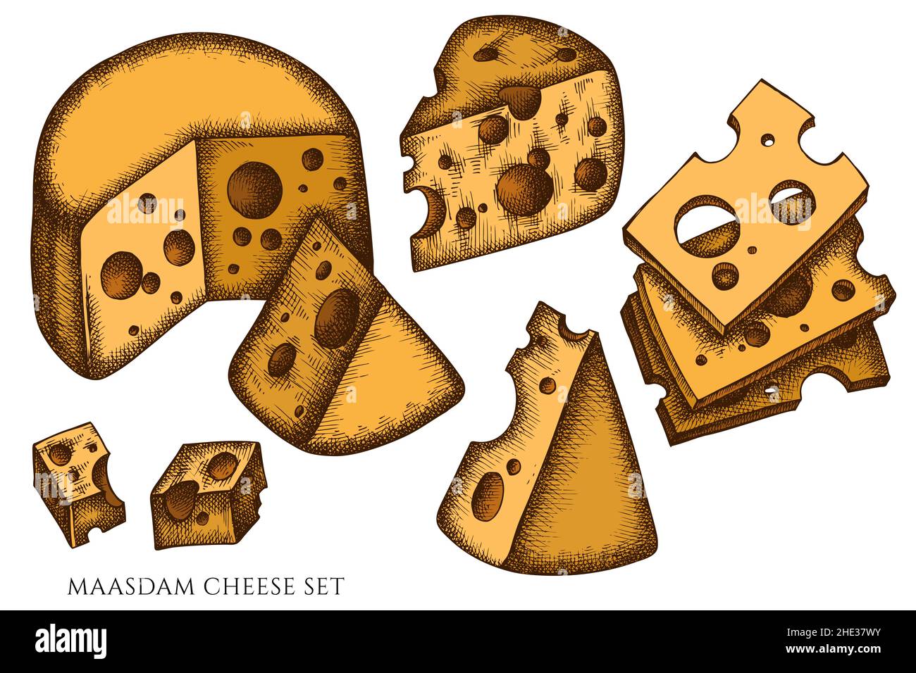 Cheese hand drawn vector illustrations collection. Colored maasdam ...