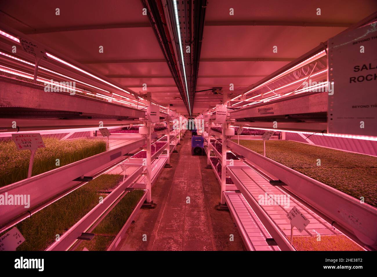 Underground crop hi-res stock photography and images - Alamy