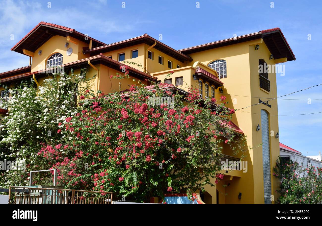 A tall, yellow building with a large bougainvillea in Belize City ...