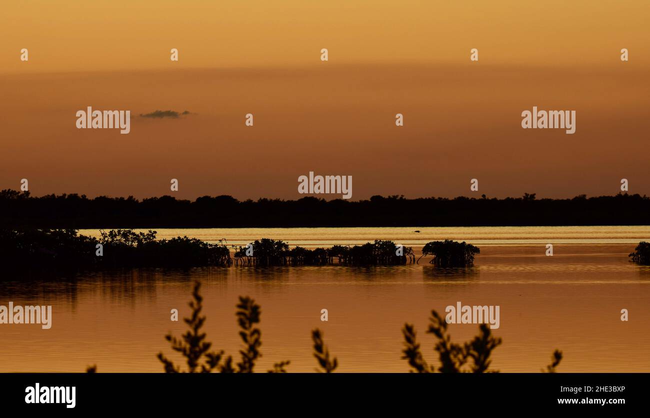 The sunset ambience in the lagoons of San Pedro, Belize Stock Photo - Alamy