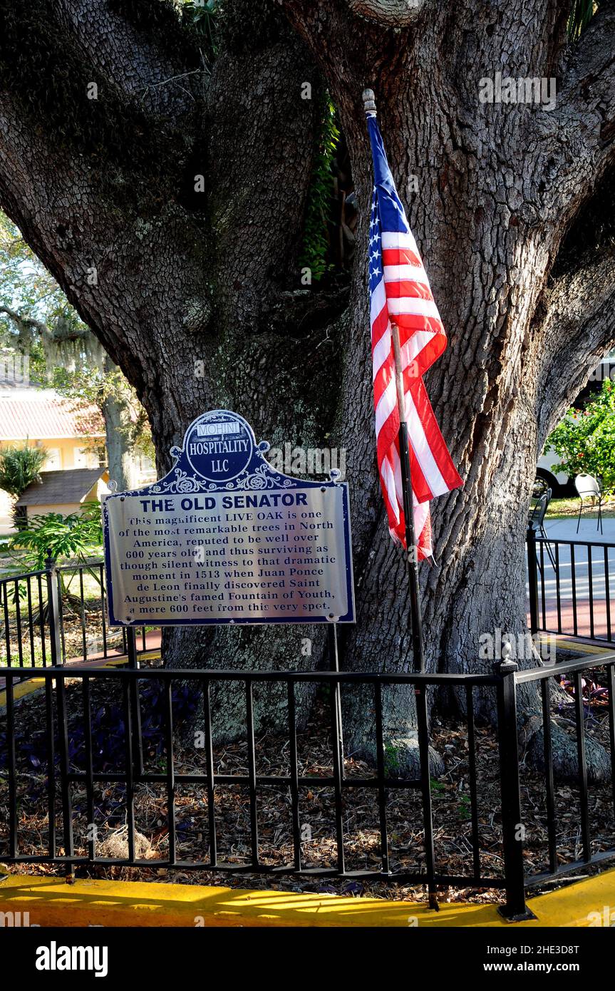 ST.AUGUSTINE / FLORIDA / USA - 05 December 2017. Life and the Old town ...