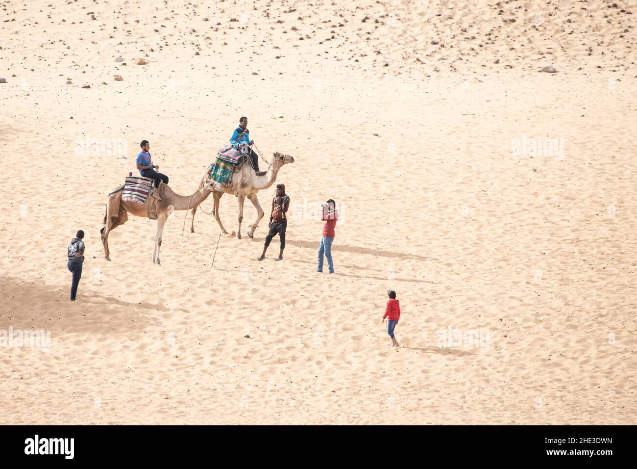 A camel ride in the Egyptian wilderness Stock Photo - Alamy