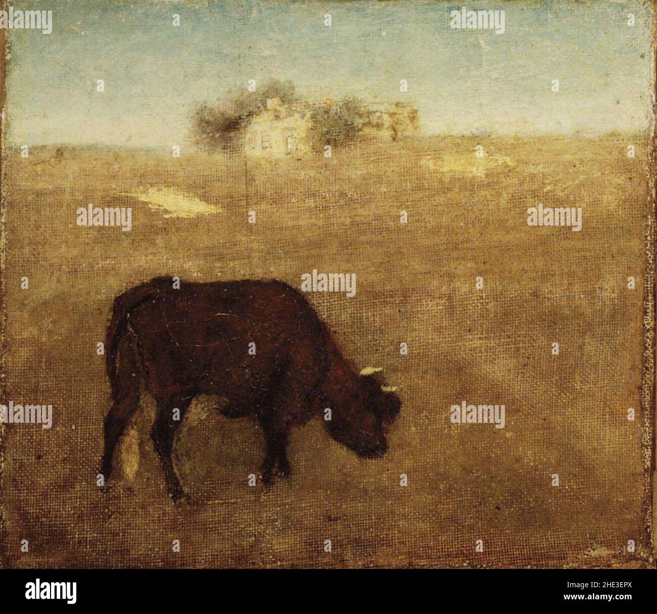 The old red cow hi-res stock photography and images - Alamy