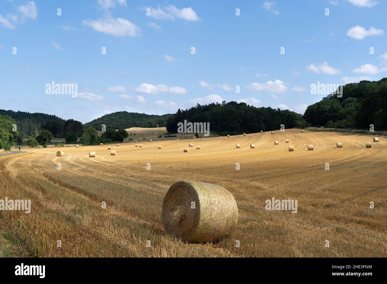 A Farm field with hay bales or rolls, rural nature with hills and trees ...