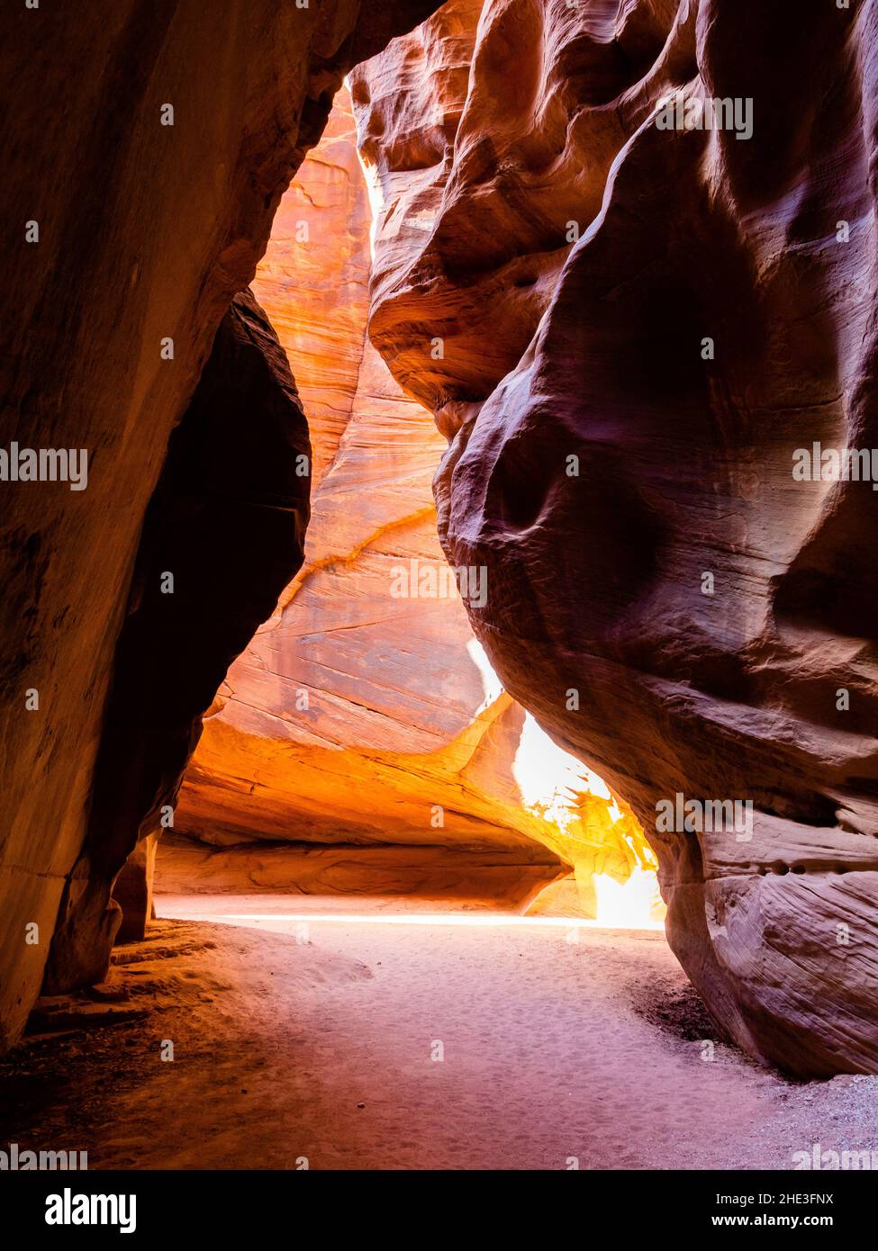 Glowing rock and sensuous curving rock walls in Buckskin Gulch Sot ...