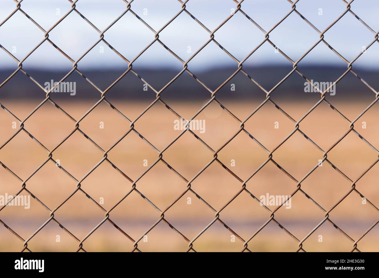 Chicken wire closeup hi-res stock photography and images - Alamy