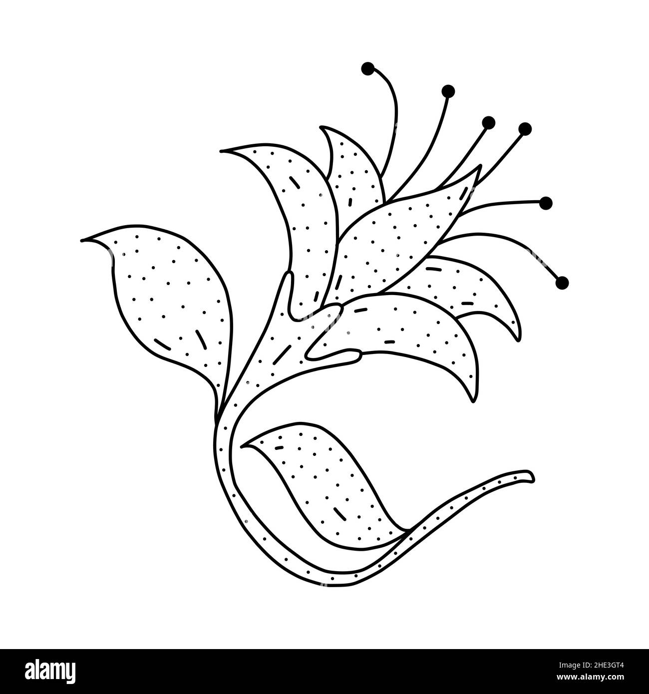 Hand drawn flower icon in doodle style. Cartoon flower vector icon for ...
