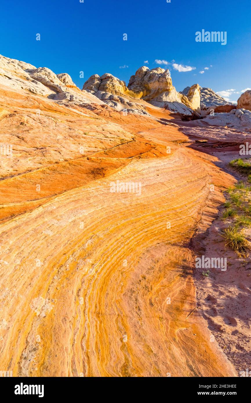 Gold and tan rock stripes hi-res stock photography and images - Alamy