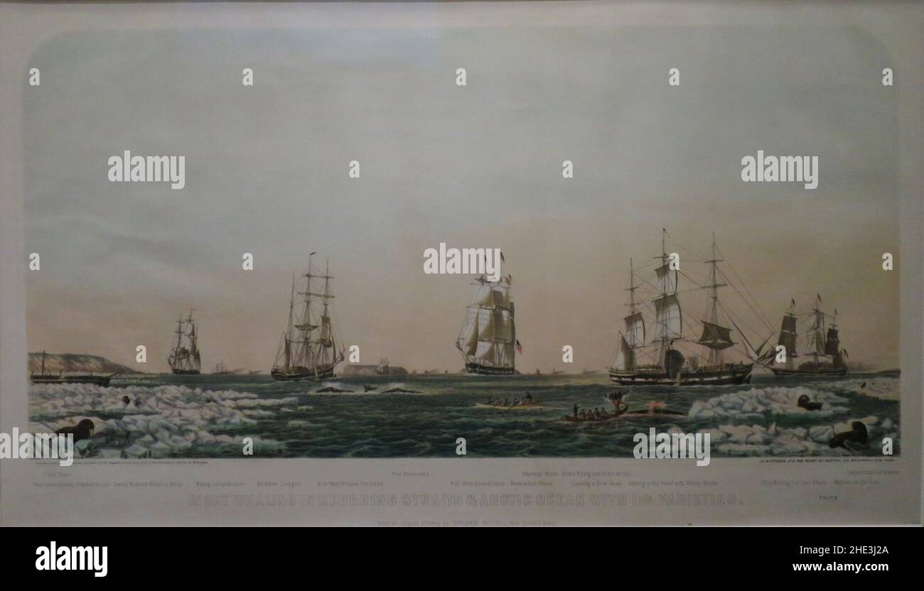 Right Whaling in Behering Straits & Arctic Ocean with its Varieties by ...