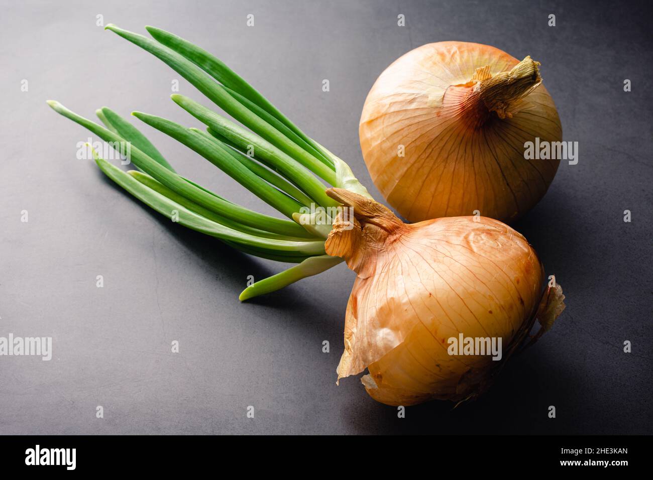 Sprouted and Unsprouted Onions on a Dark Background: A yellow onion ...