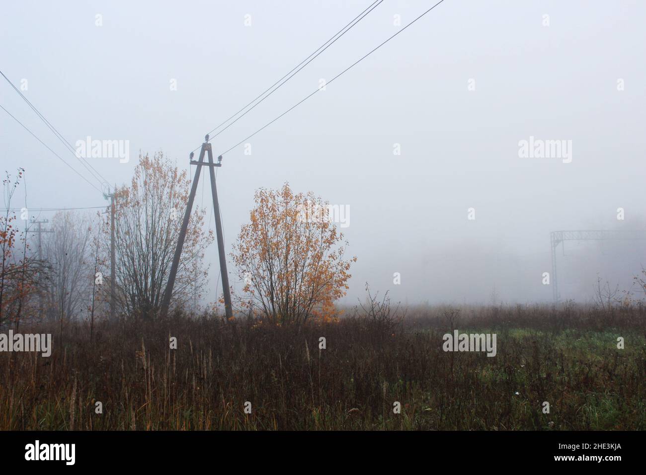 landscape with fog. telegraph pole tree and far in the fog railroad ...