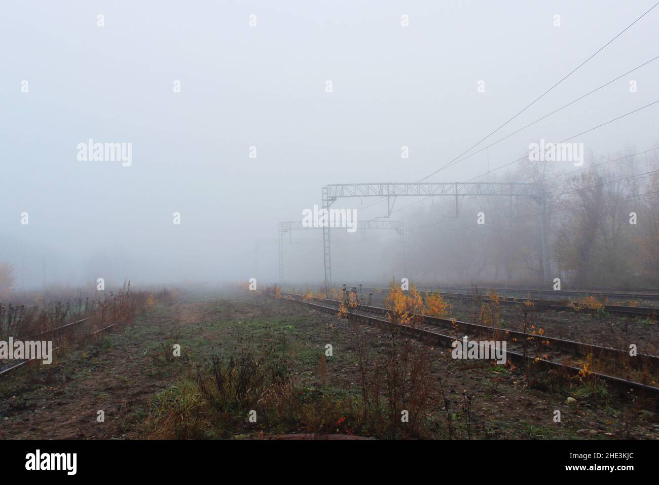landscape with fog. telegraph pole tree and far in the fog railroad ...