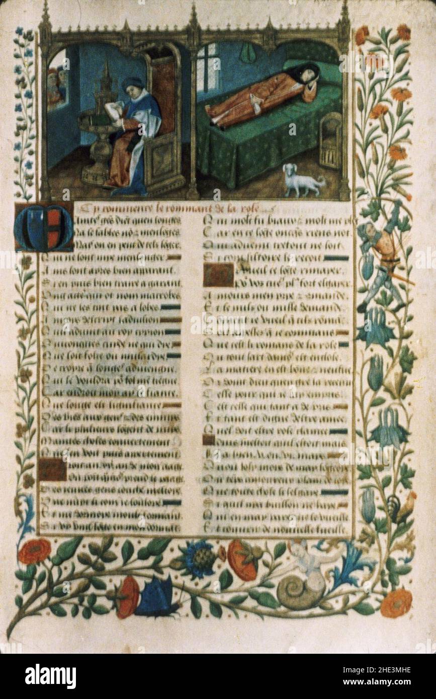 Roman de la Rose Stock Photo - Alamy