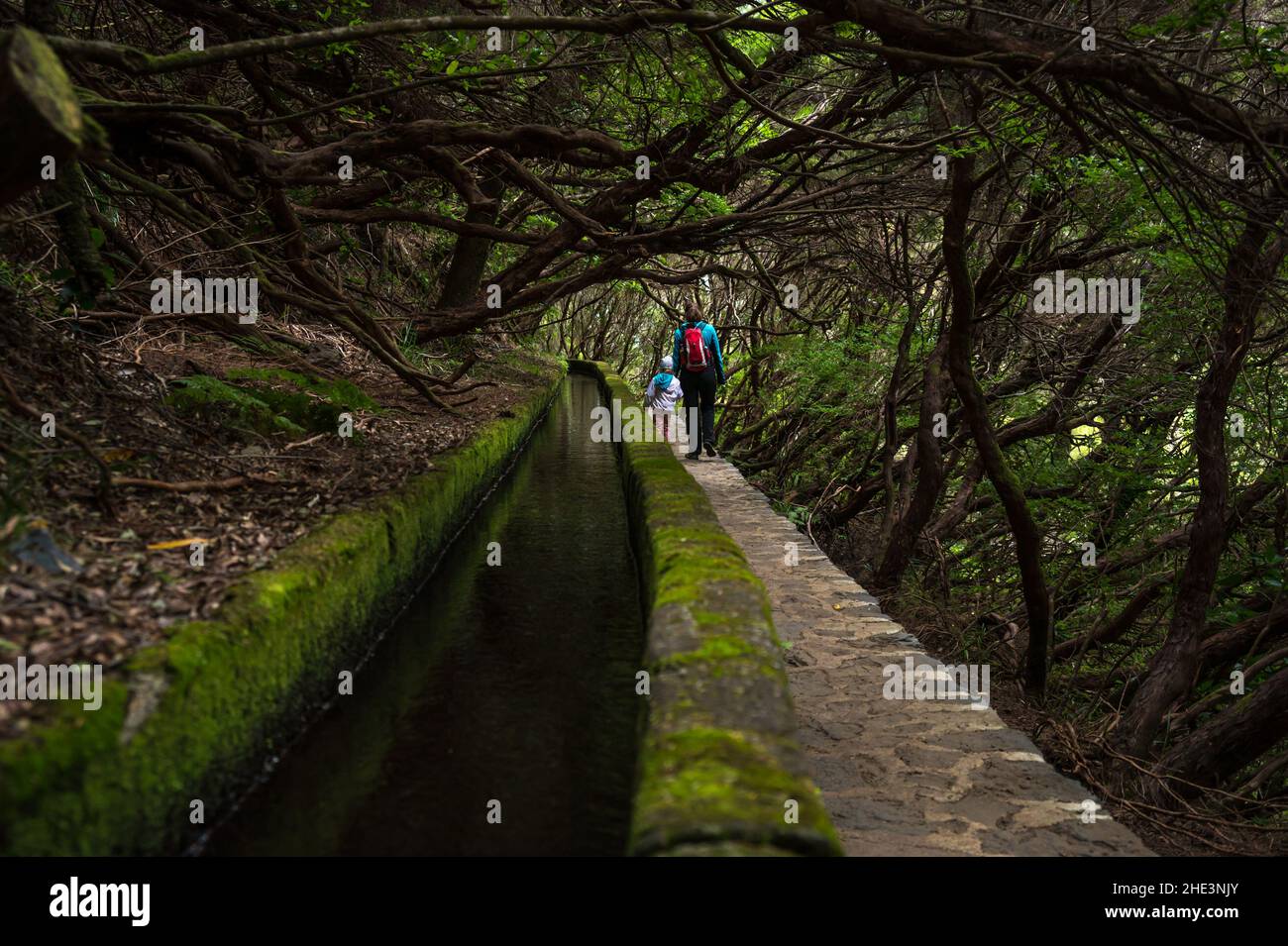 Mother and daughter walking along forest path Stock Photo - Alamy