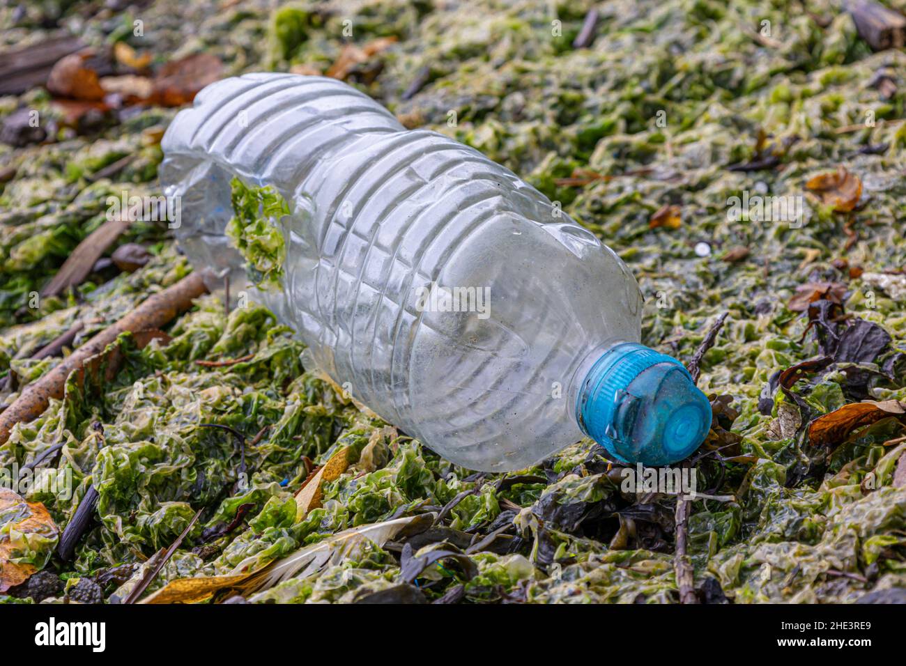 Plastic pollution crisis, environmental damage at UK nature reserve ...