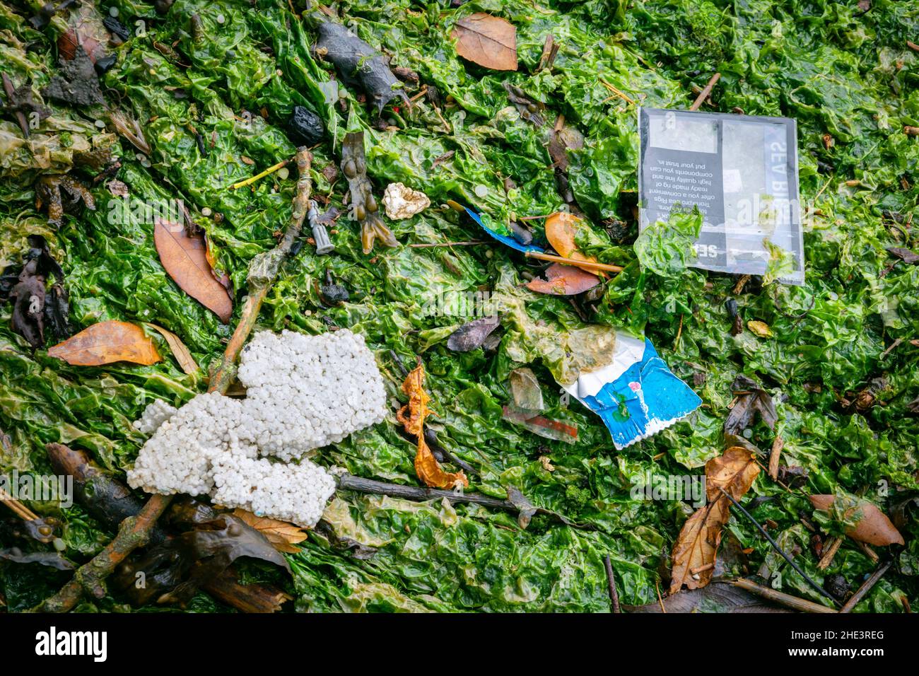 Plastic pollution crisis, environmental damage at UK nature reserve ...