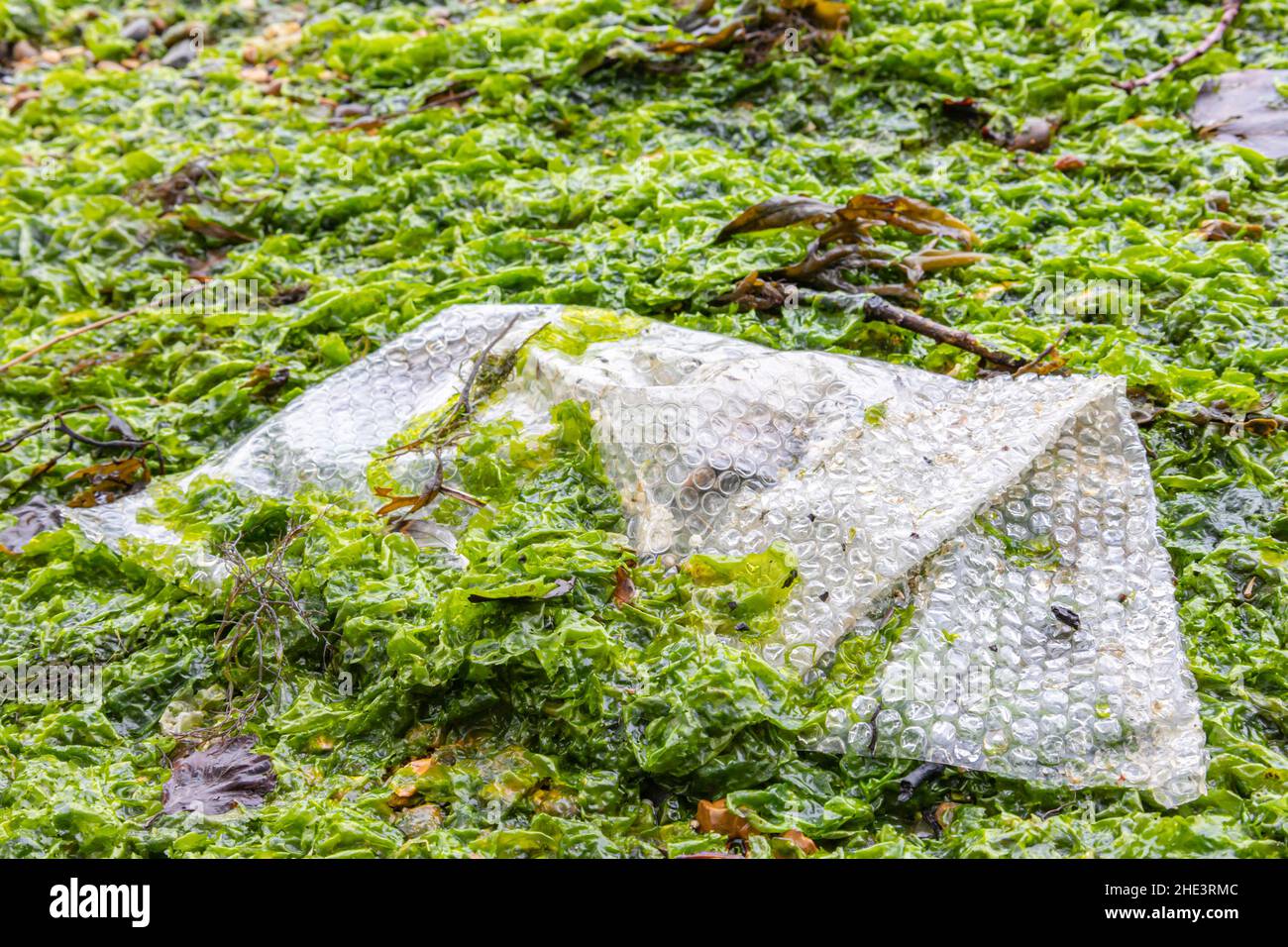 Plastic sheet pollution beach hi-res stock photography and images - Alamy