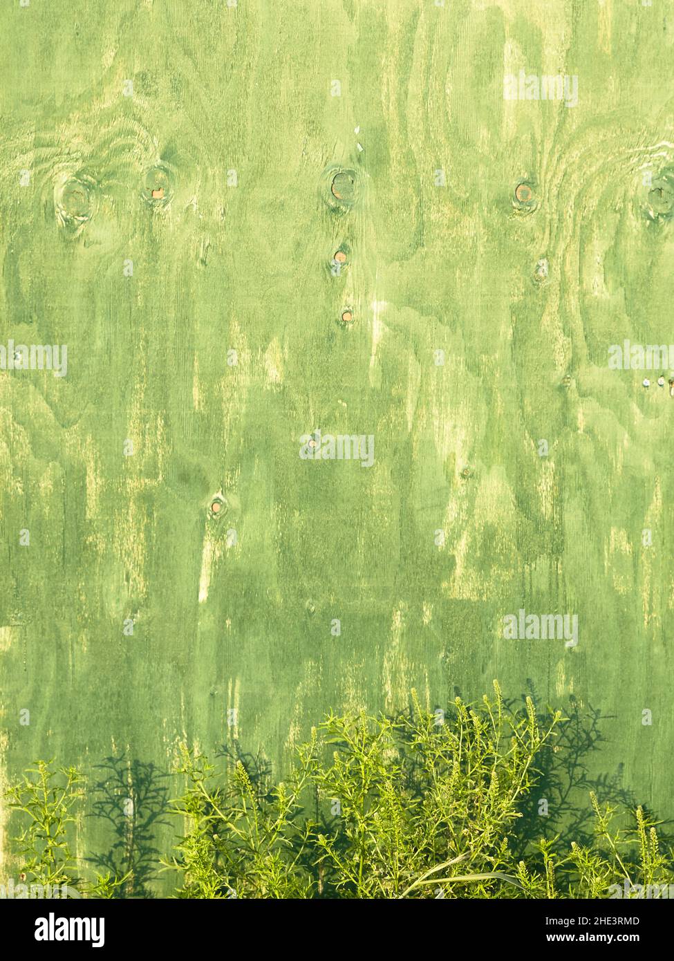 Faded green paint texture on plywood Stock Photo - Alamy