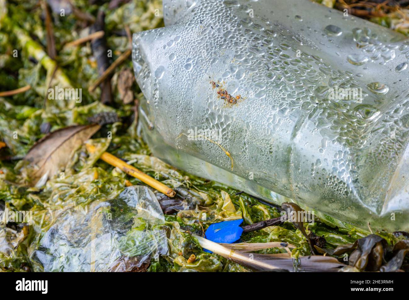Plastic pollution crisis, environmental damage at UK nature reserve ...
