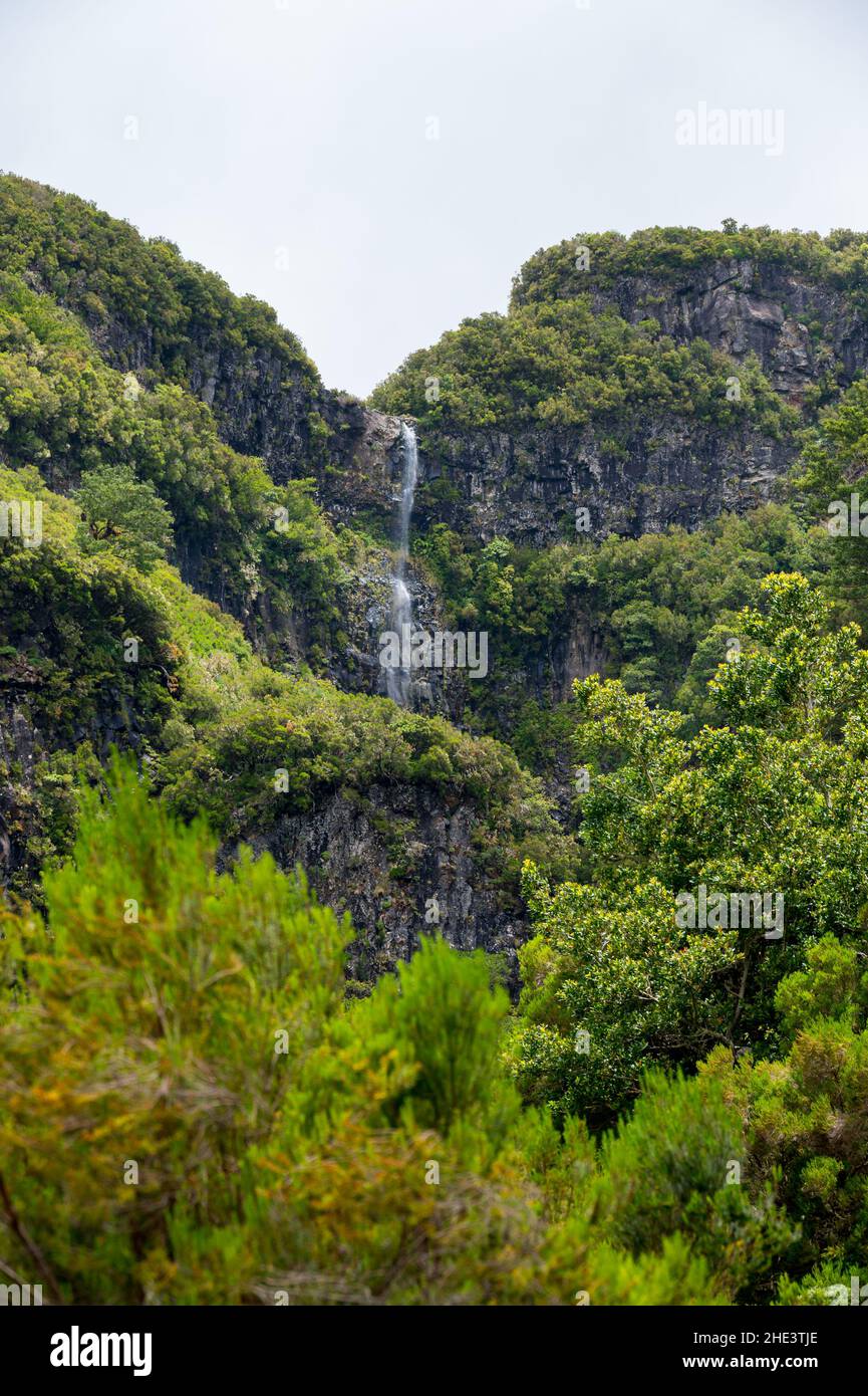Spectacular double waterfall falling through jungle forest Stock Photo ...