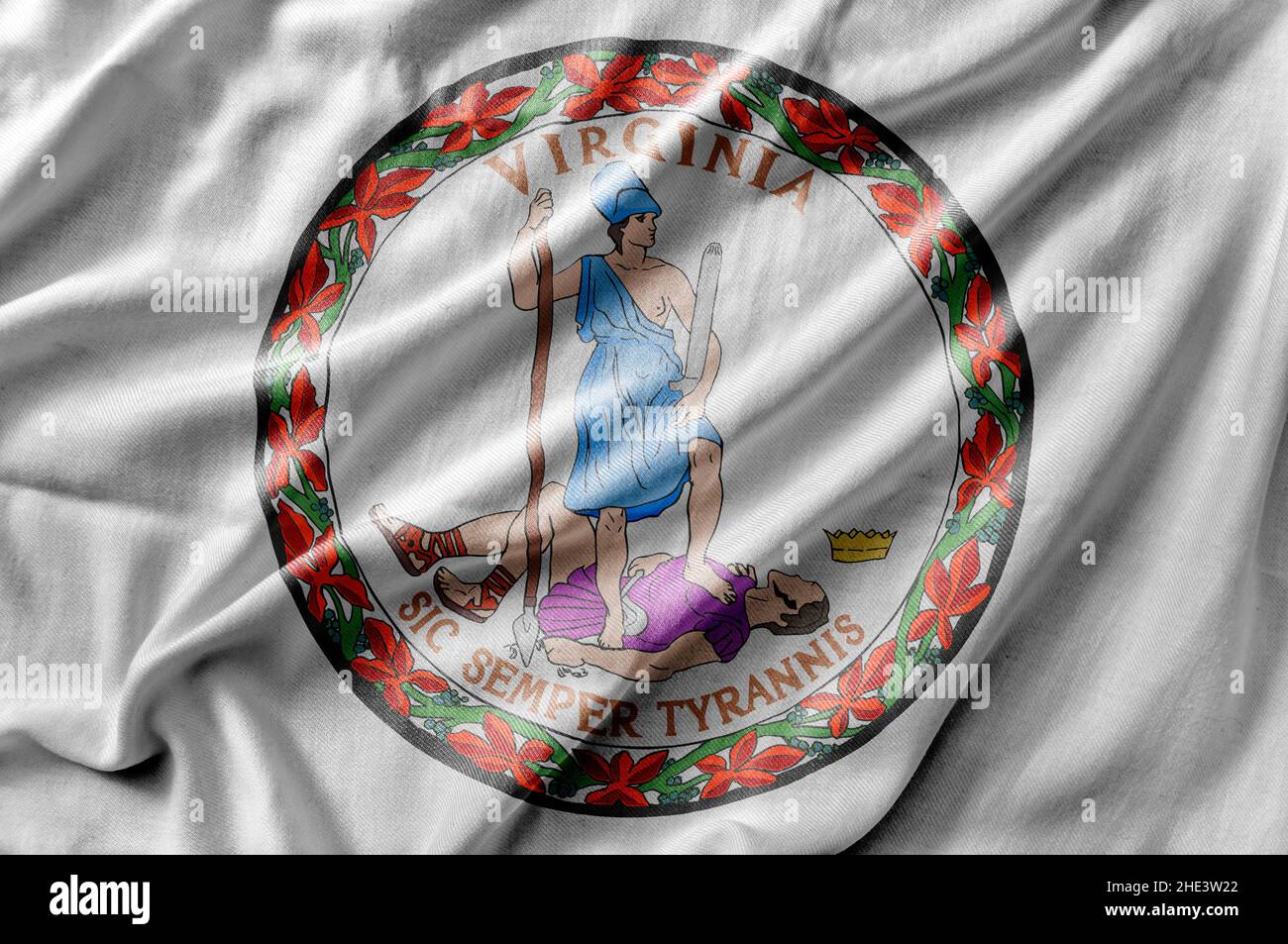 Virginia seal hi-res stock photography and images - Alamy