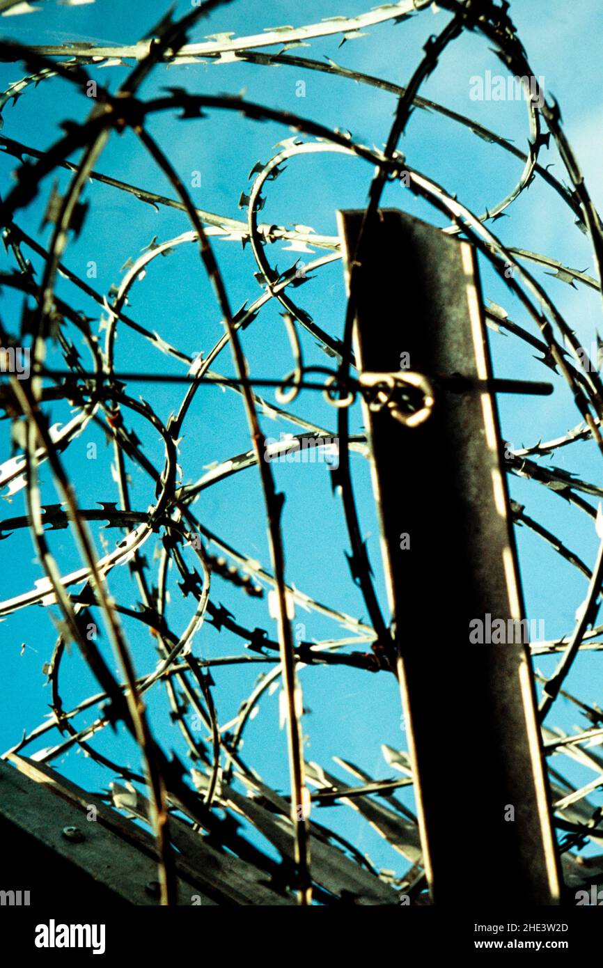 Industrial close up still life of spike, tangled, arrangement ...