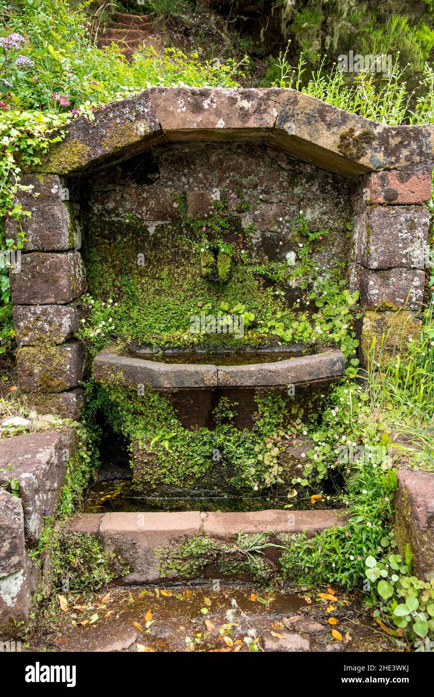 Fountain covered in moss hi-res stock photography and images - Alamy