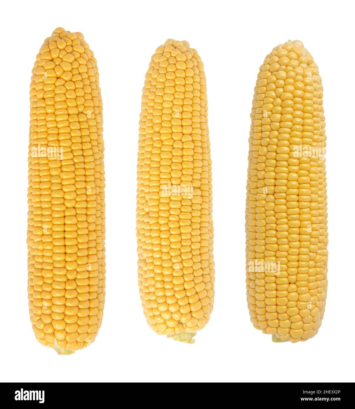 White maize cobs hi-res stock photography and images - Alamy