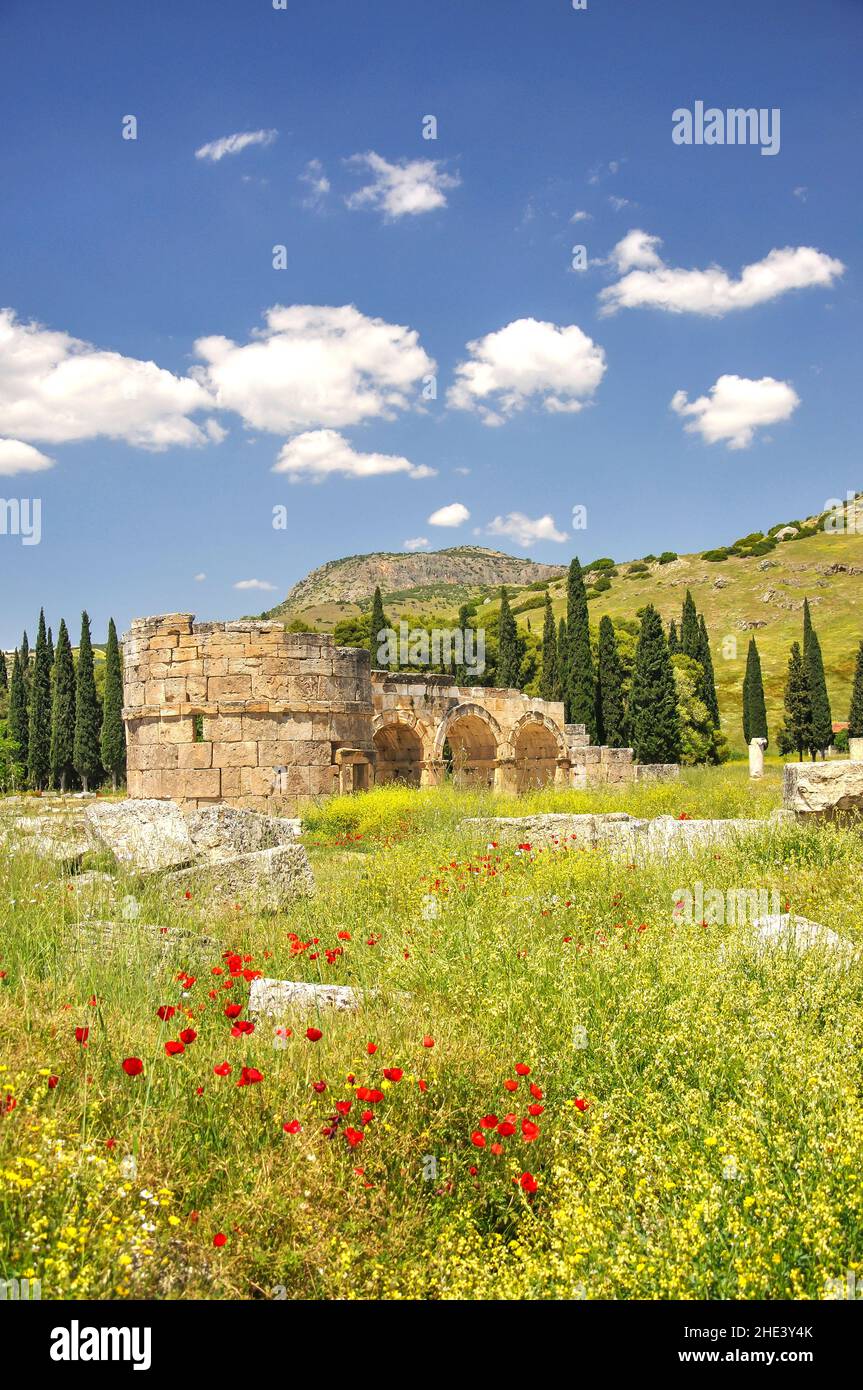 Arch of Domitian, The Agora, Hierapolis, Denizli Province, Republic of ...