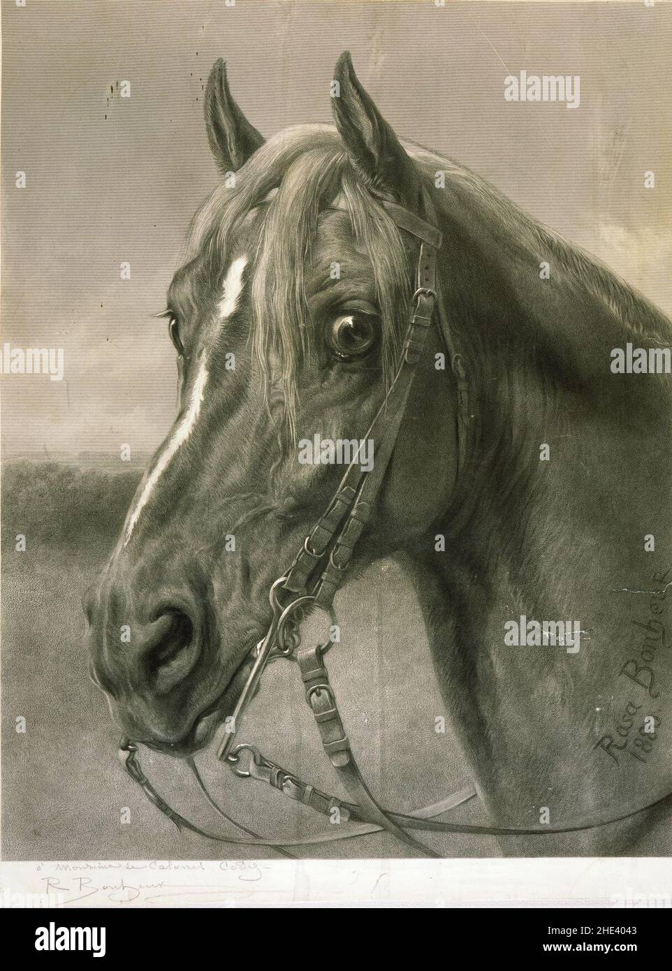 Colonel cody hi-res stock photography and images - Alamy