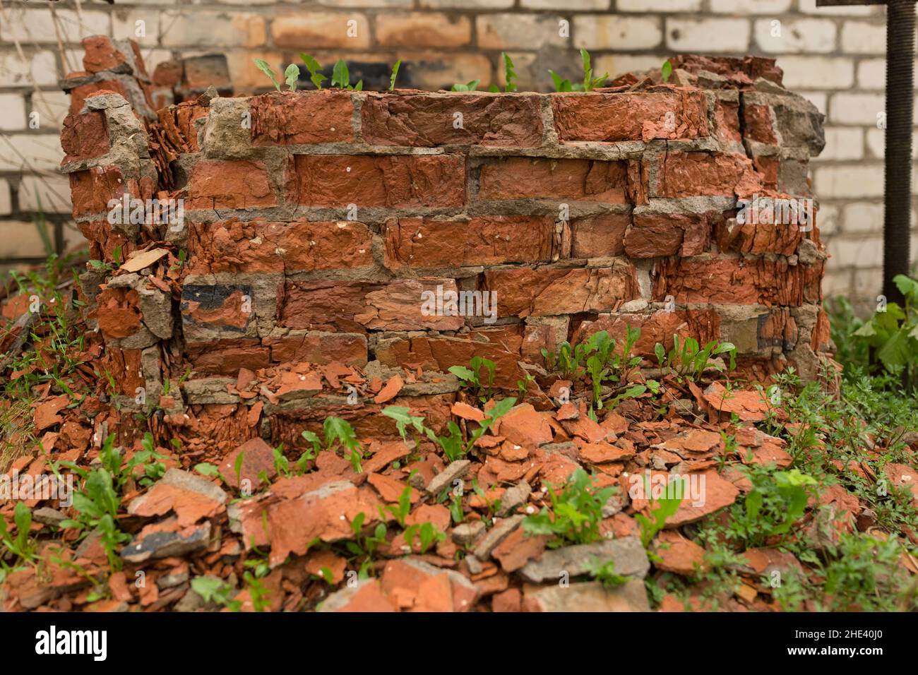 Brick masonry. Red brick destroyed by time on the background of white ...