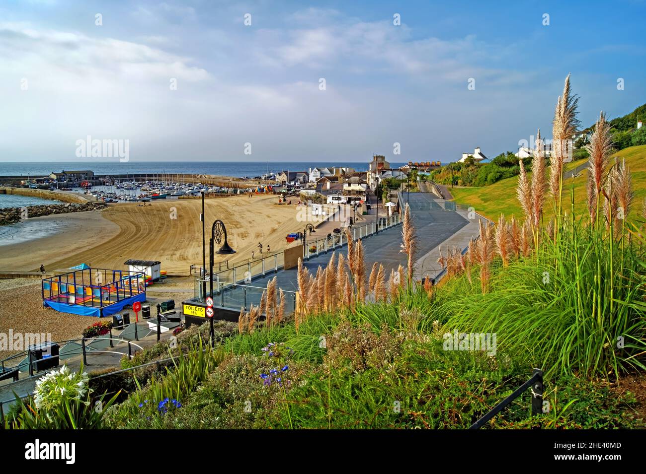 UK, Dorset, Lyme Regis, The Harbour and Cobb from Langmoor Gardens ...