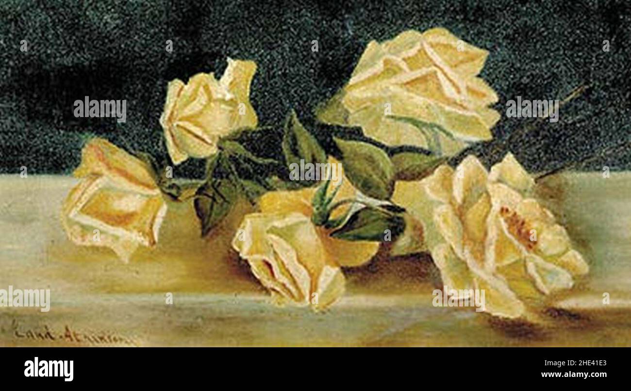 Rose still life Stock Photo - Alamy