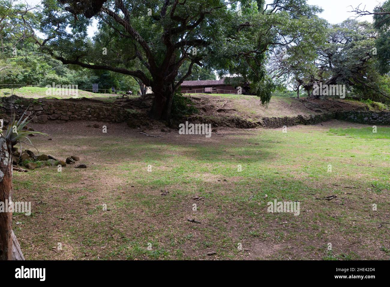 Santa Rosa National Park Costa Rica High Resolution Stock Photography ...