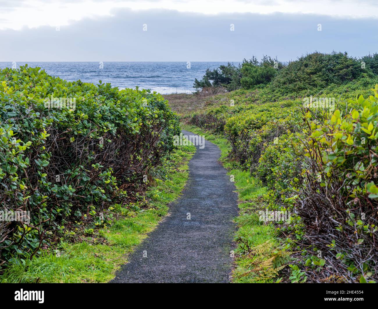 The Captain Cook Trail runs above the Pacific Ocean at Cape Perpetua ...