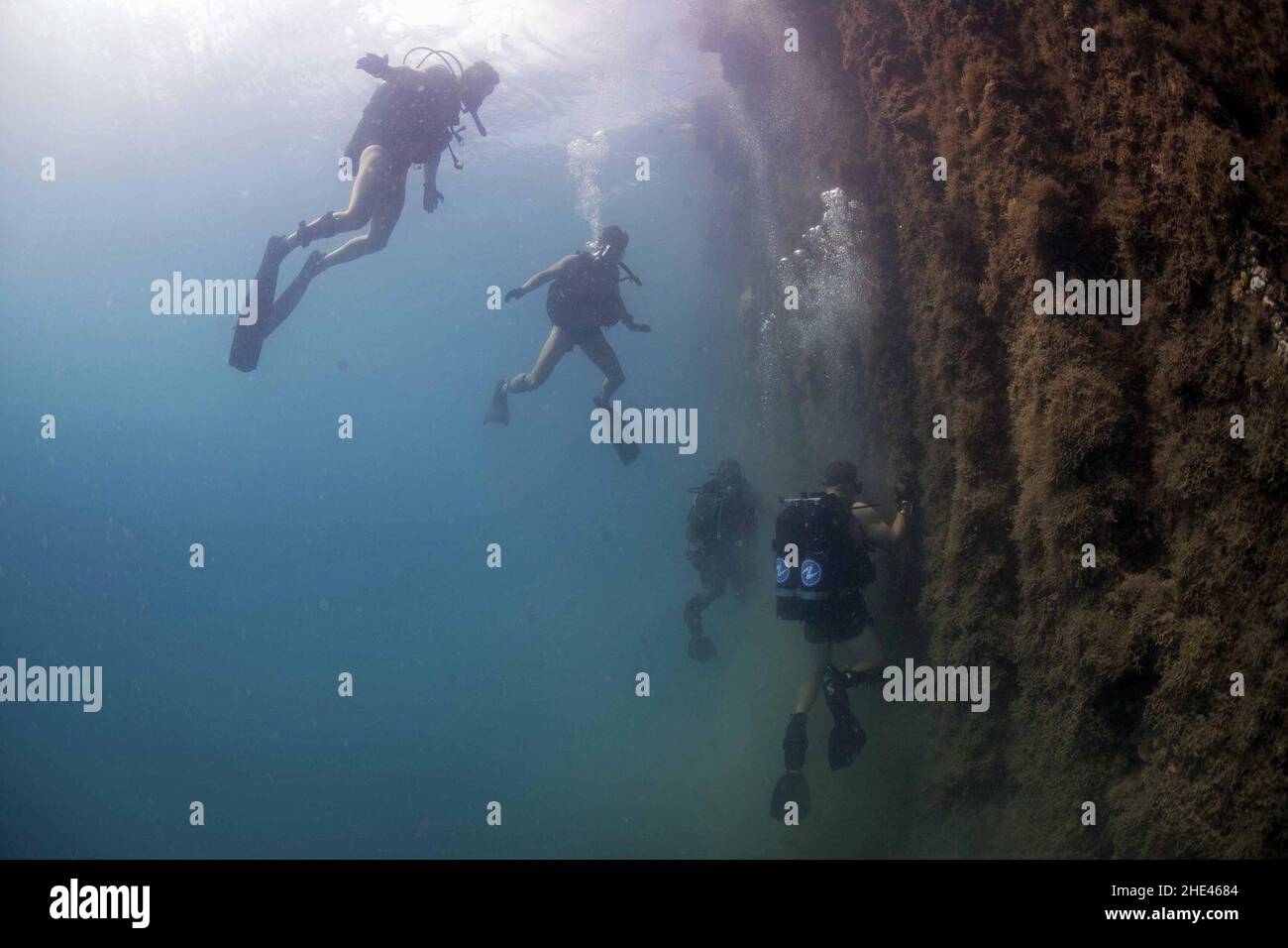 Royal Australian navy and U.S. Navy Sailors conduct a pier inspection ...