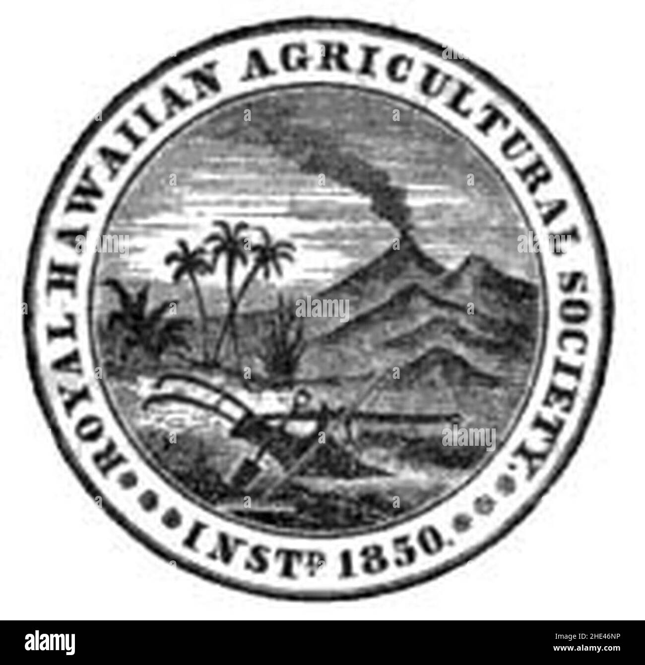 Hawaiian royal Cut Out Stock Images & Pictures - Alamy