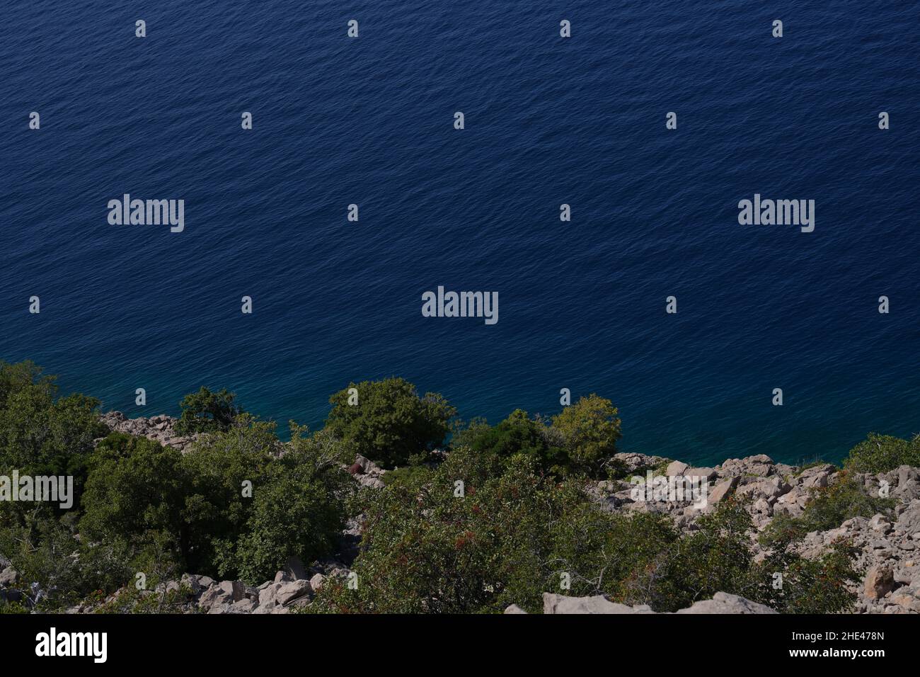Beautiful view sea forest on hi-res stock photography and images - Alamy