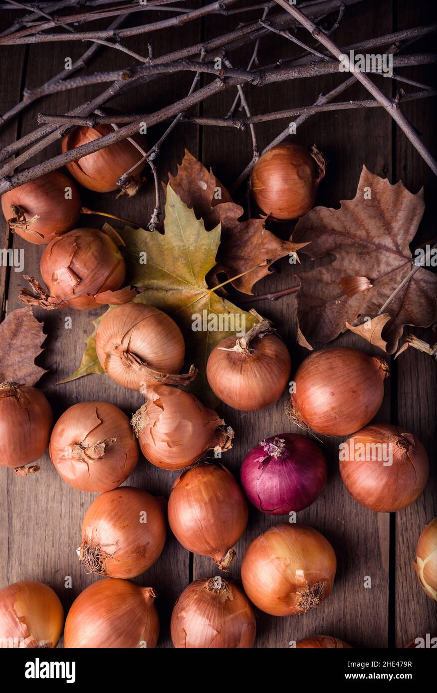 Freshly harvested onions of different types and sizes on a wooden table ...