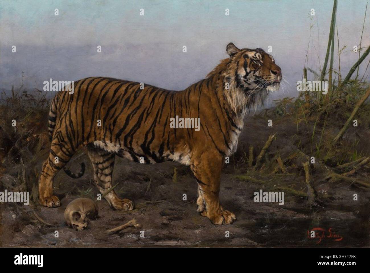 Royal Tiger Stock Photo - Alamy