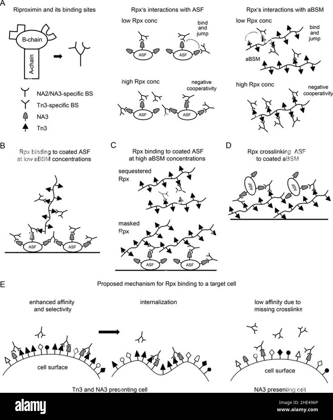 Rpx hi-res stock photography and images - Alamy
