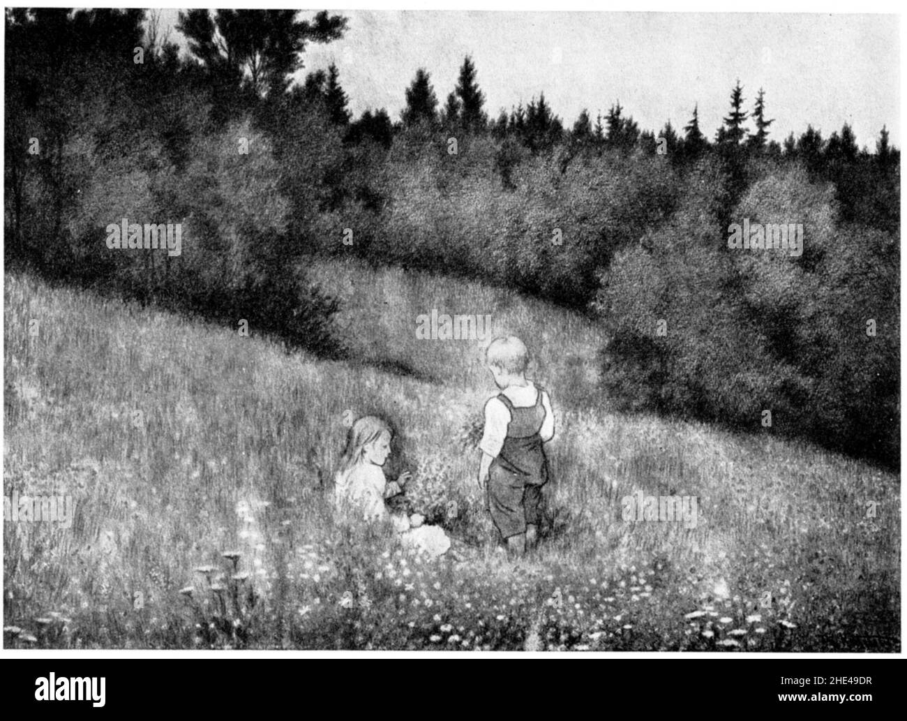 Rser og fioler- roses and violets Stock Photo - Alamy