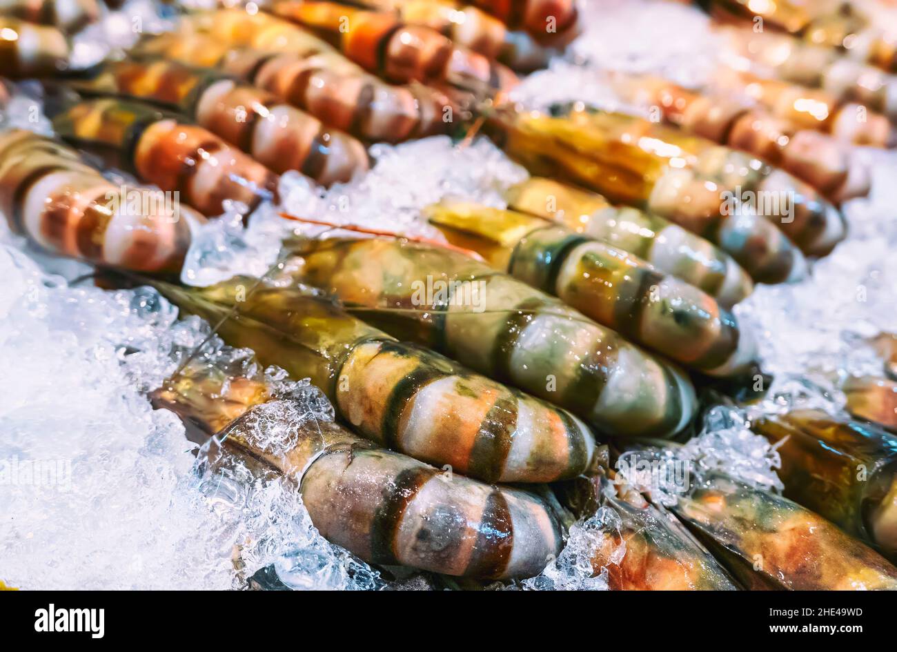 Giant tiger prawn or Asian tiger shrimp Stock Photo - Alamy
