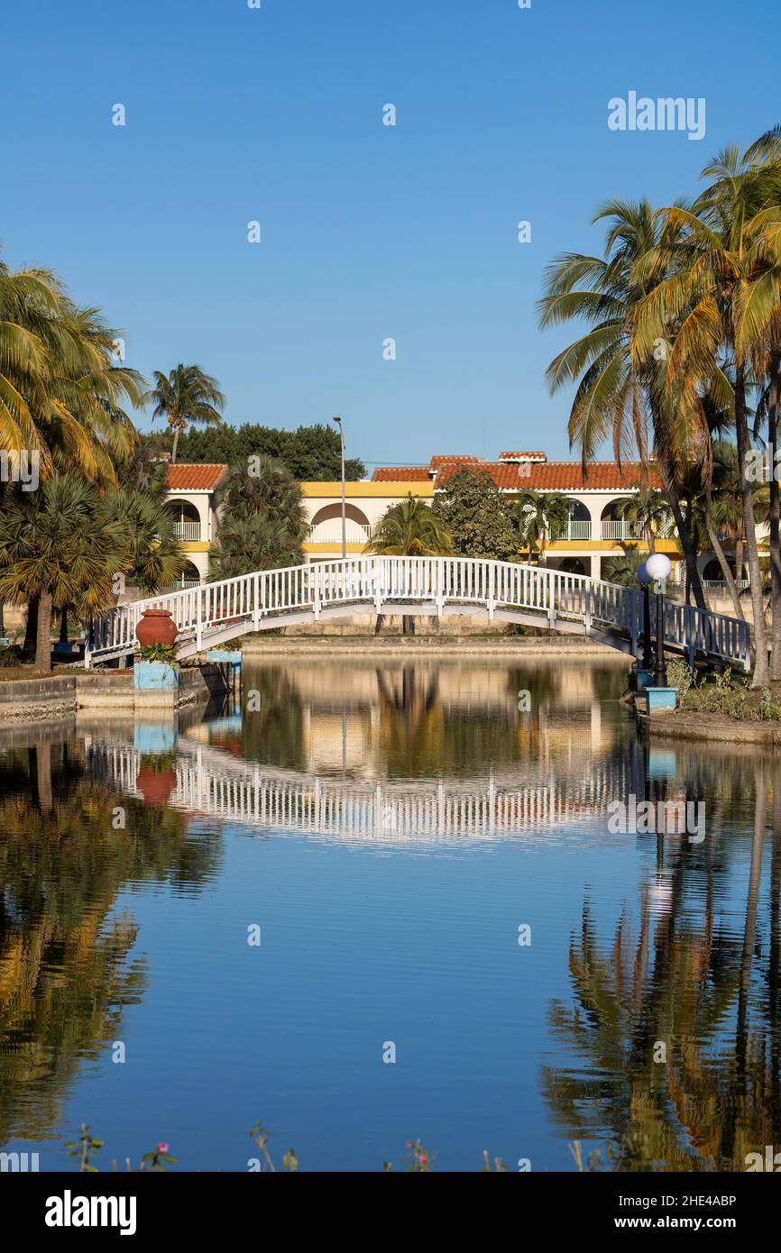 Plants varadero hi-res stock photography and images - Alamy