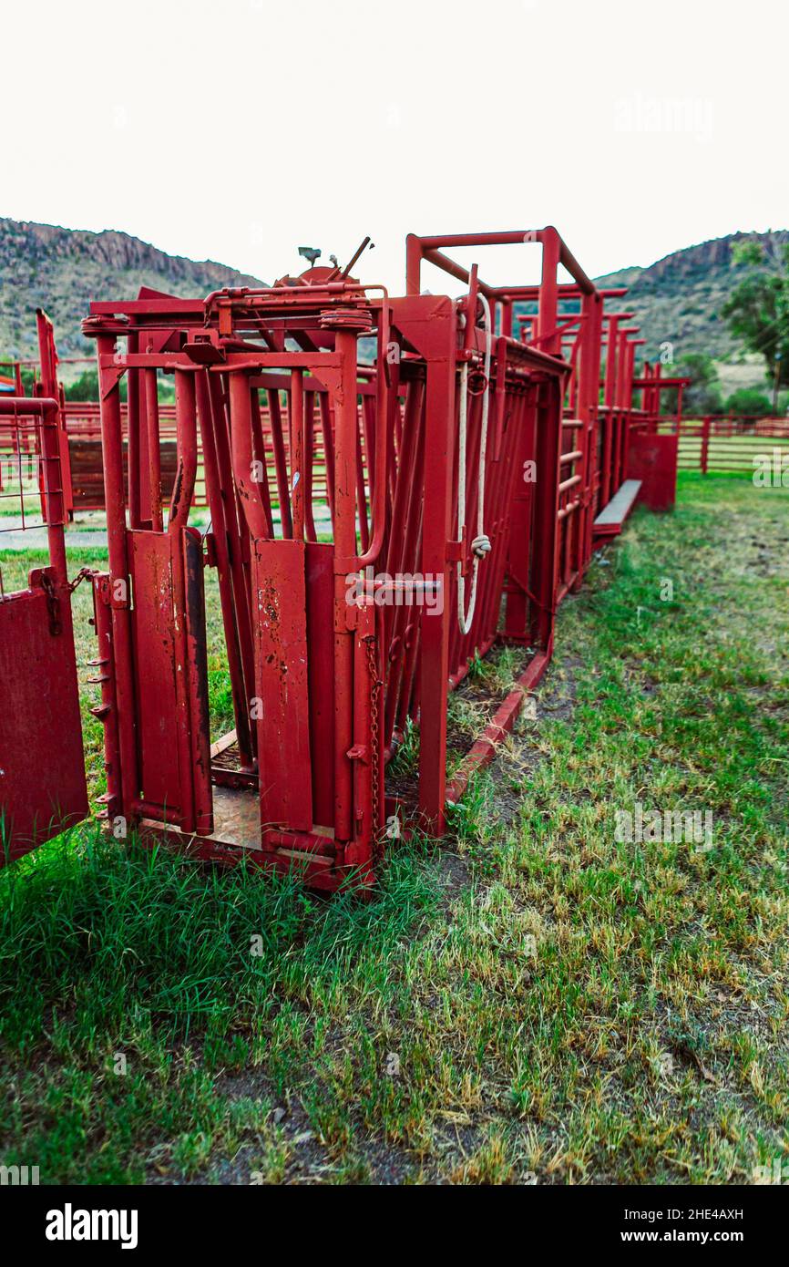 Closeup of Red colored Cattle squeeze chute on farm in Texas Stock ...