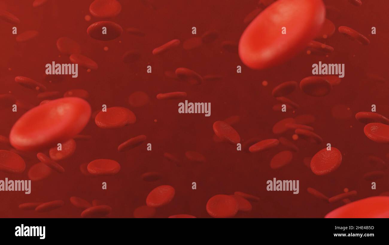 A 3D rendering of red blood cells in the blood flow Stock Photo - Alamy