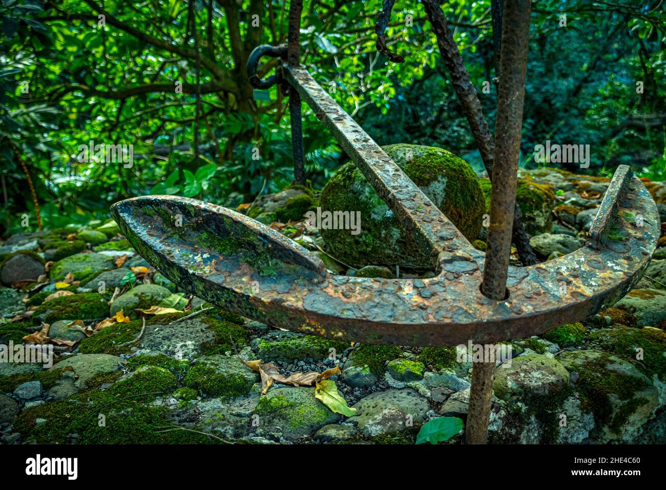 Closeup shot of an ancient anchor. Waimea Falls, Oahu Hawaii Stock ...