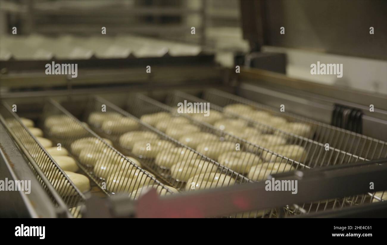Process of preparing donuts in frying fat at the factory, fried dough ...