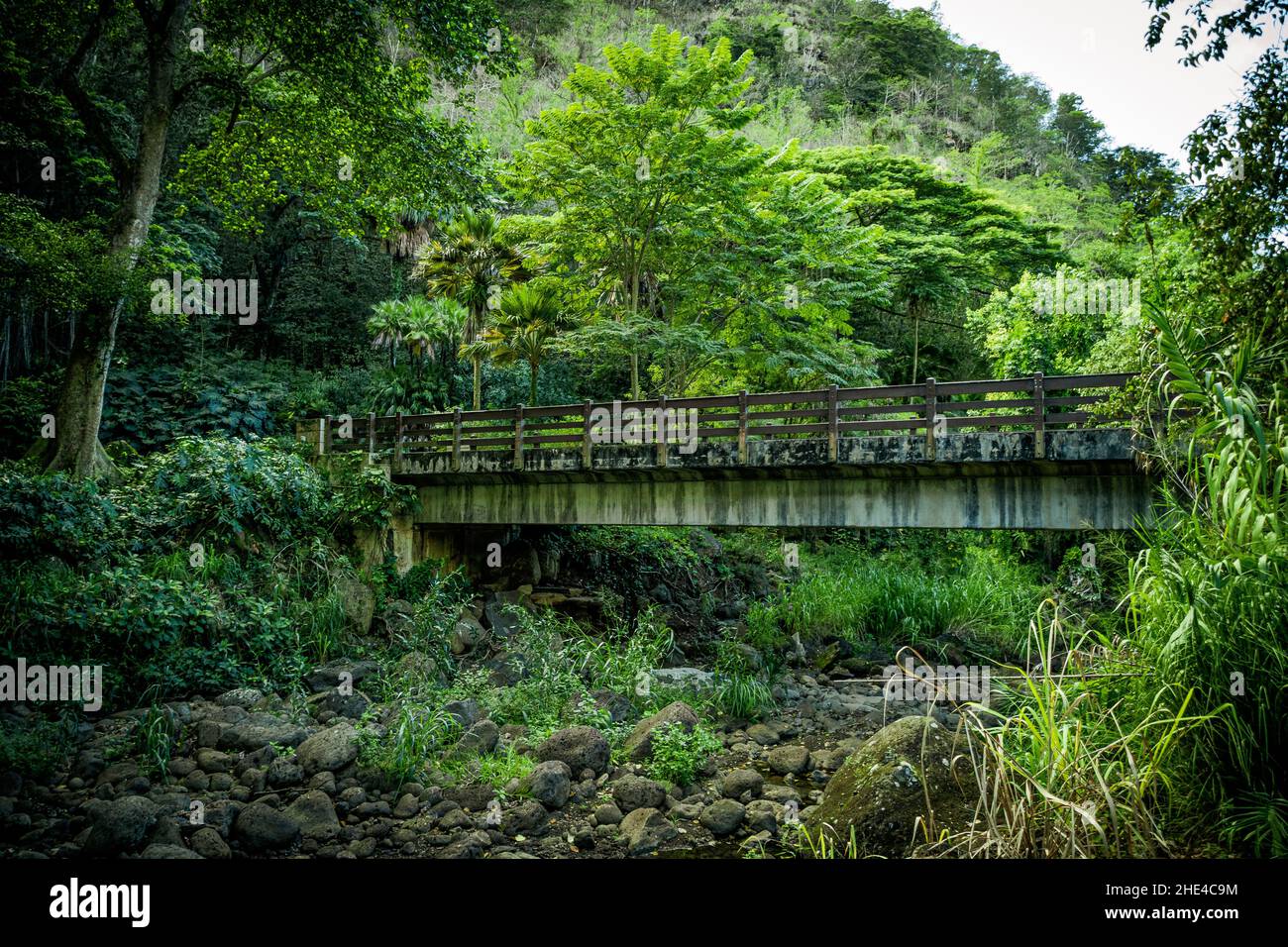 Landscape view of the bridge in the tropics. Waimea Falls, Oahu Hawaii ...